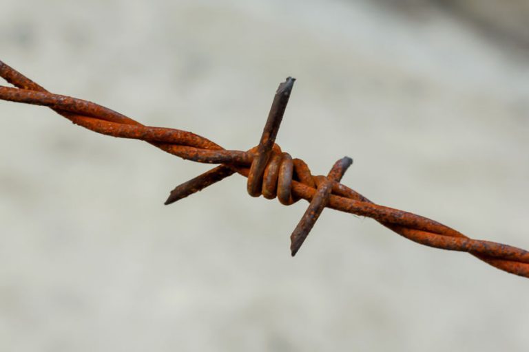 Broken Razor Wire And Barbed Wire Injury Claims - UK Guide